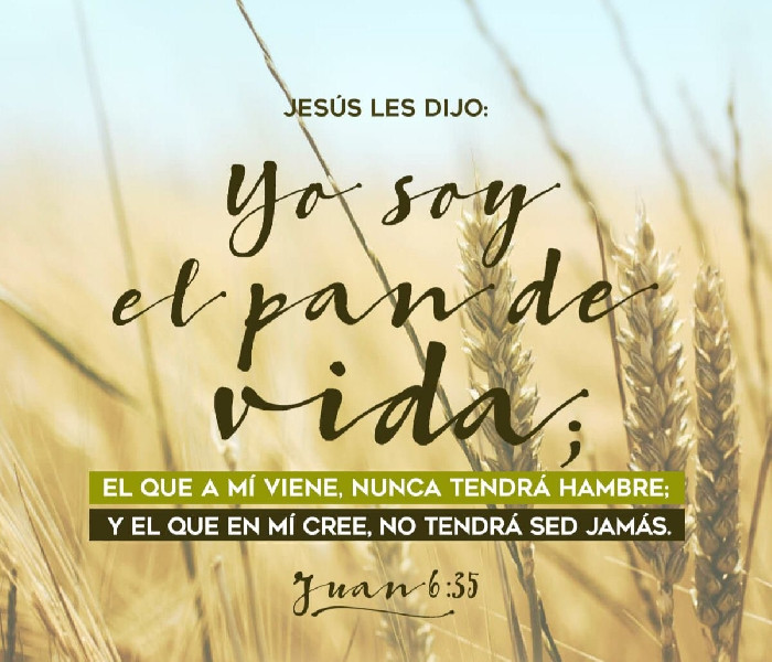 Lecturas Martes 3° Semana del Tiempo de Pascua :: Remar-mar-adentro2